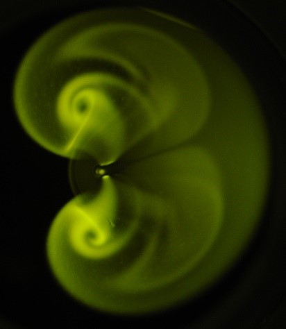 Comment pousse une « fleur de Koleski » ? - CRPP